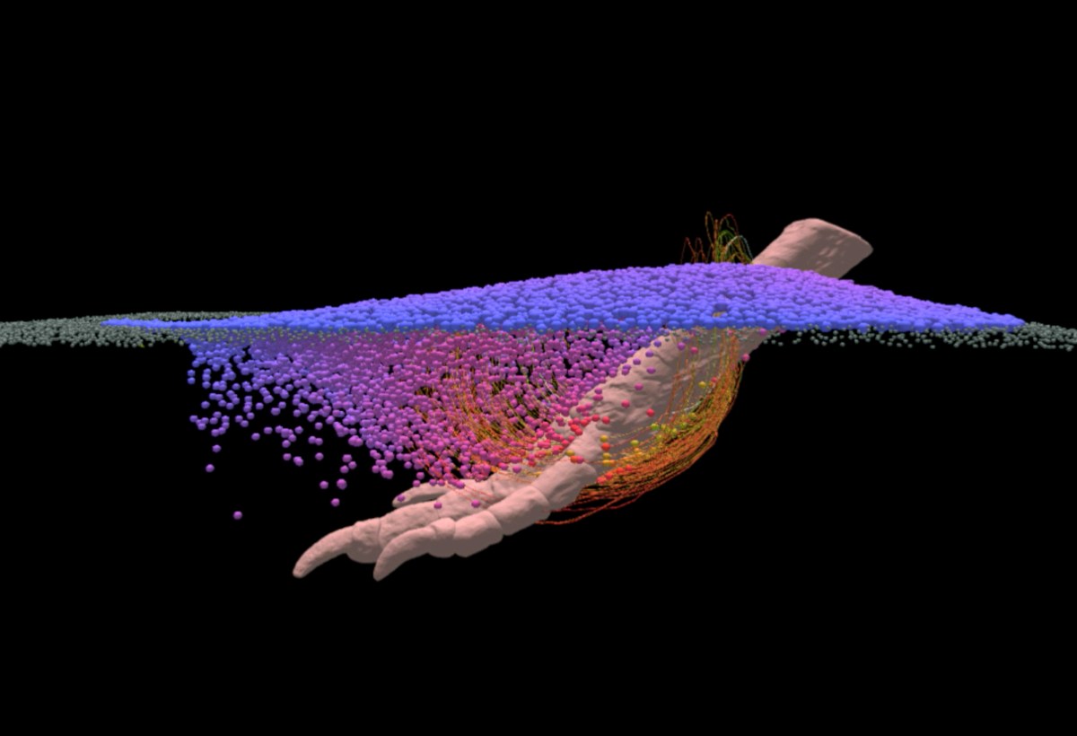 Dinosaur Footprint Formation – Morgan L. Turner, PhD